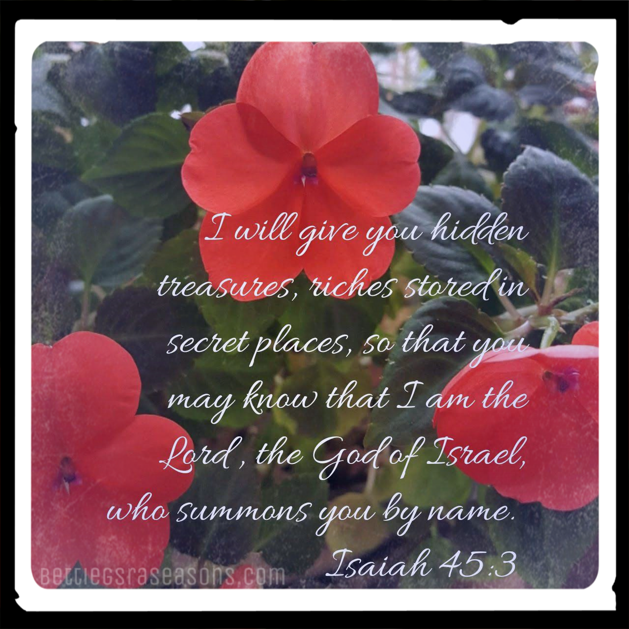 From the Corner – BettieGsRAseasons