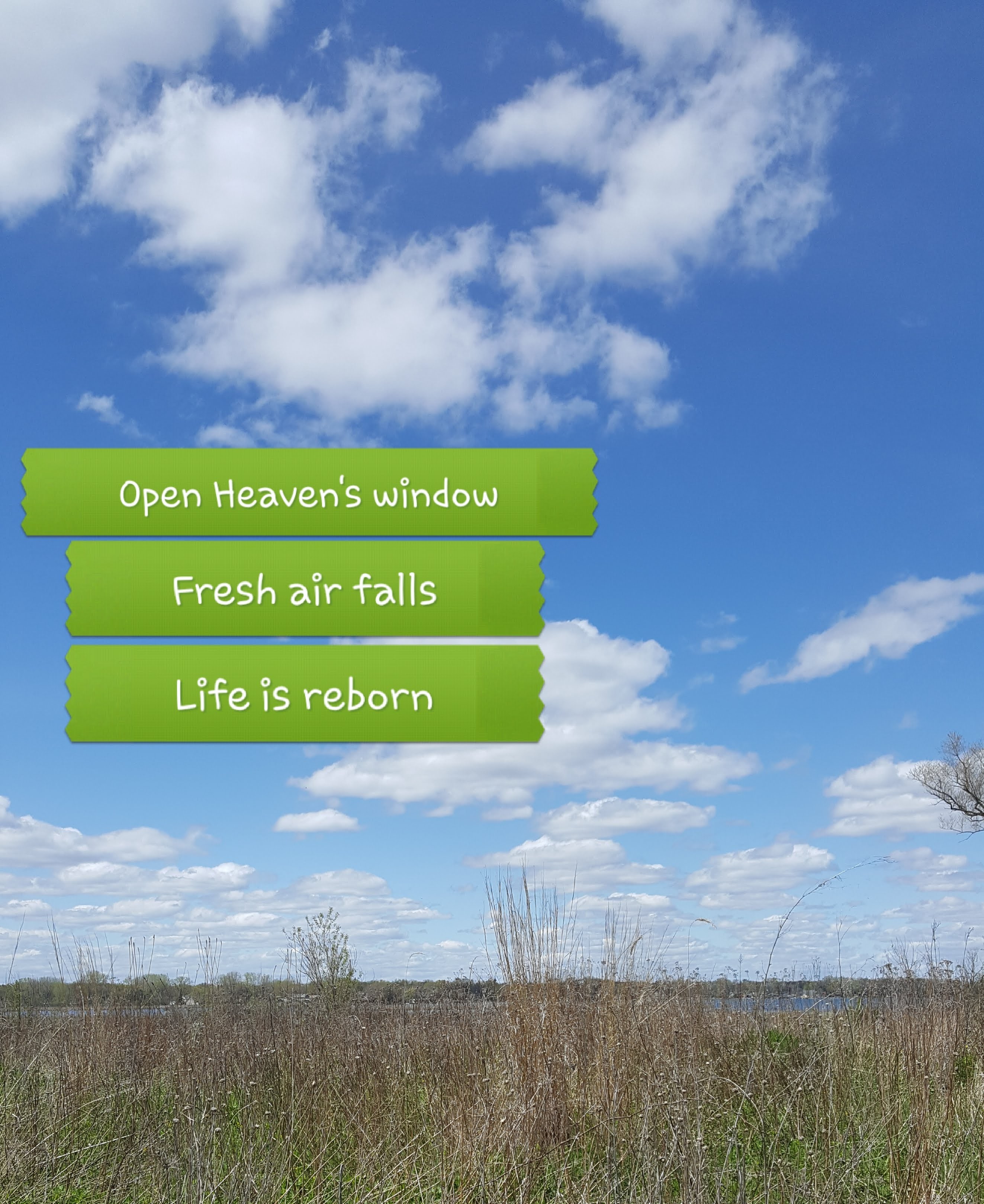 Fresh Air – BettieGsRAseasons