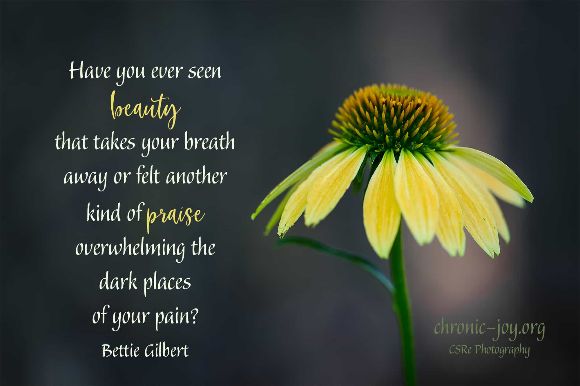 Sharing: Praise in the Midst of Our Pain – BettieGsRAseasons