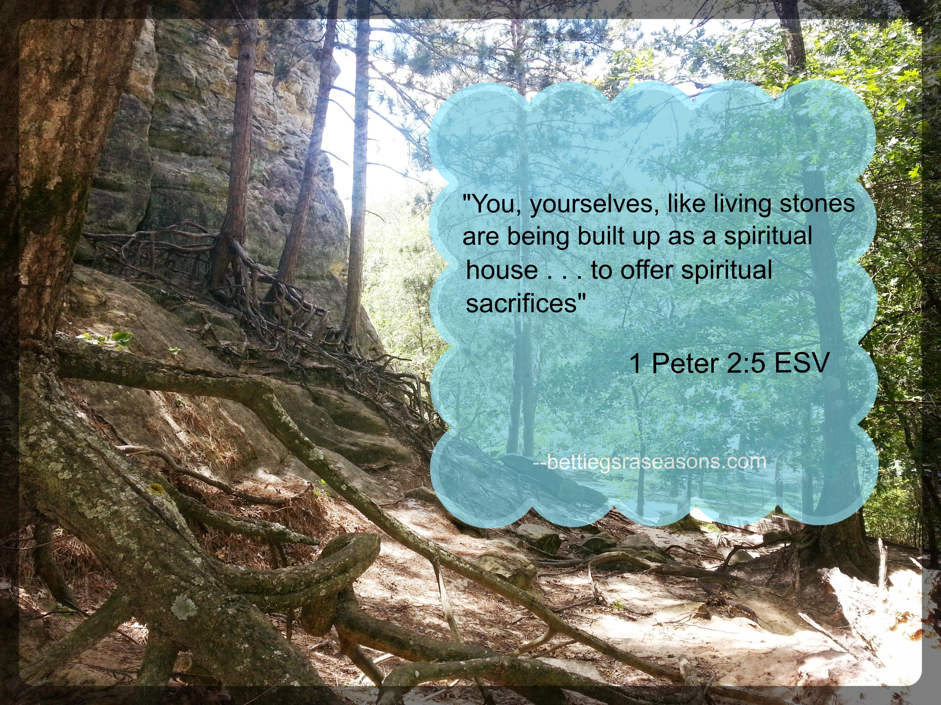 Ablation or Oblation – BettieGsRAseasons