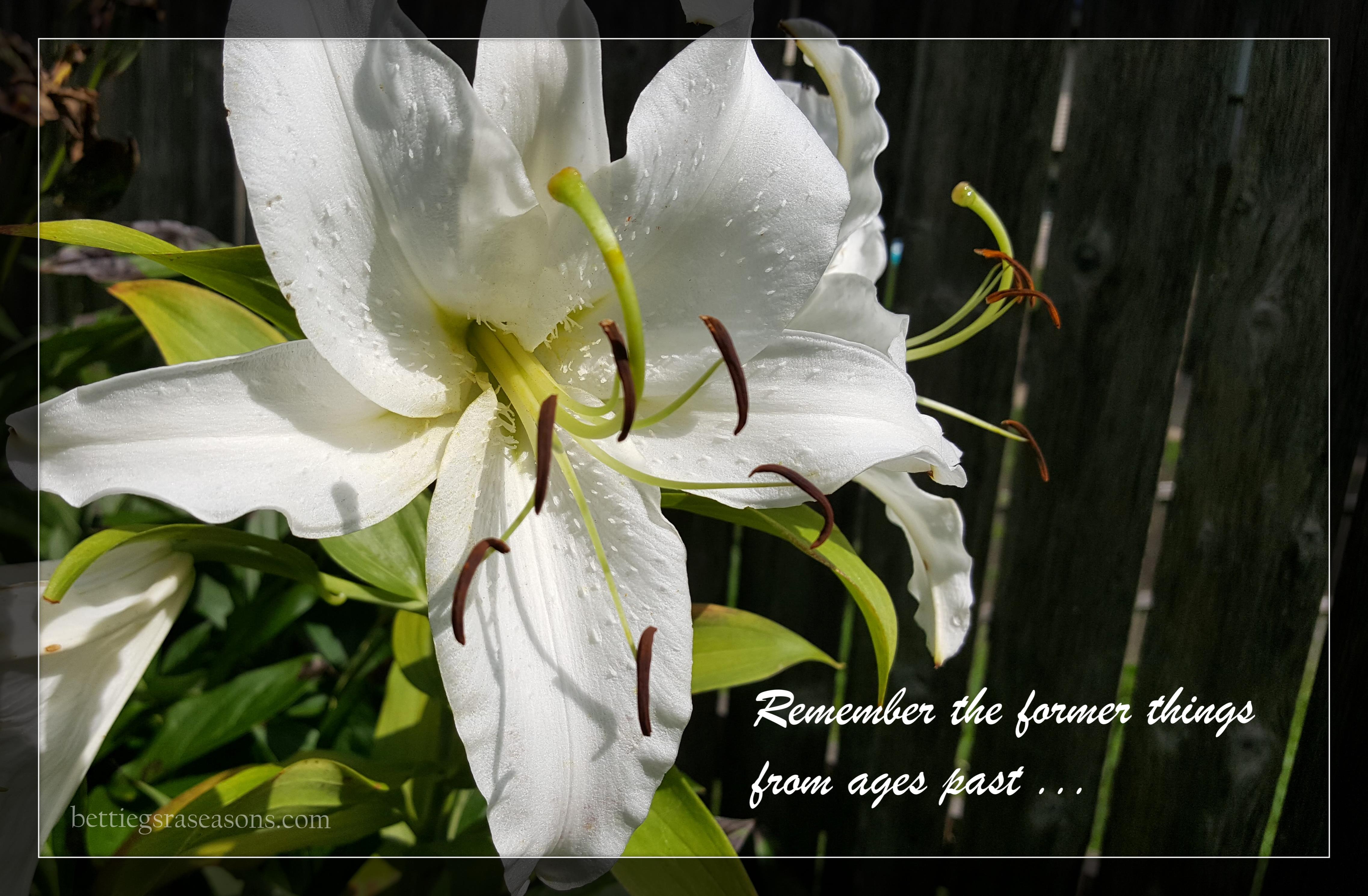 Sharing: Letters to Family And Friends – BettieGsRAseasons